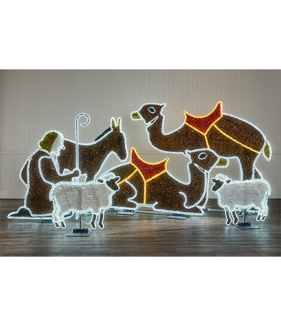 Buy LED Donkey Online in Australia - Christian Corner